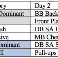 Modified Tier System for Athletic Development - Athletes Acceleration